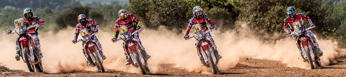 Honda CRF450 RALLY